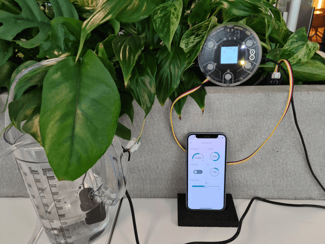 Plant setup. Plant setup.